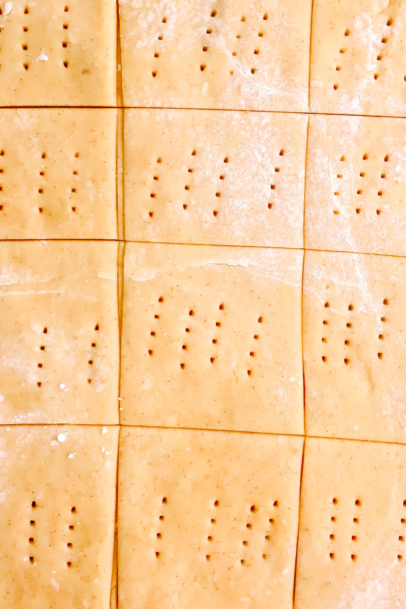 Homemade GF Graham Crackers (vegan option) - The Glutenless Maximus
