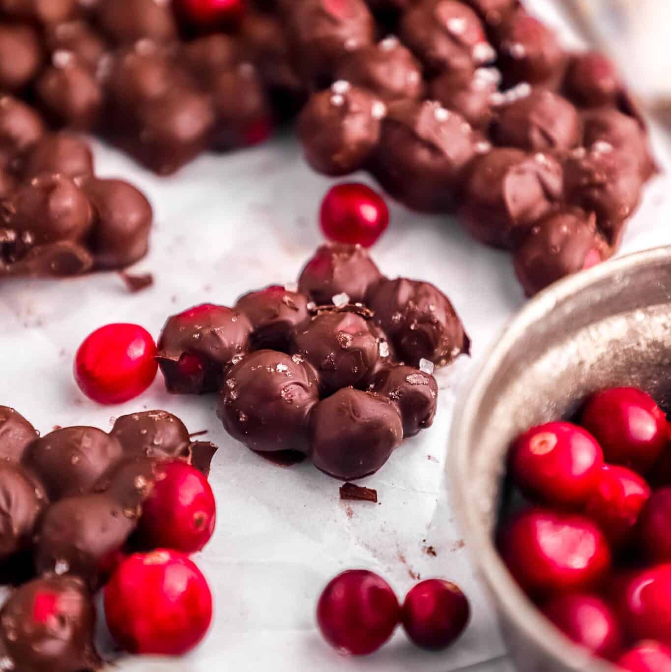 Cranberry 3 Ingredient Chocolate Bark