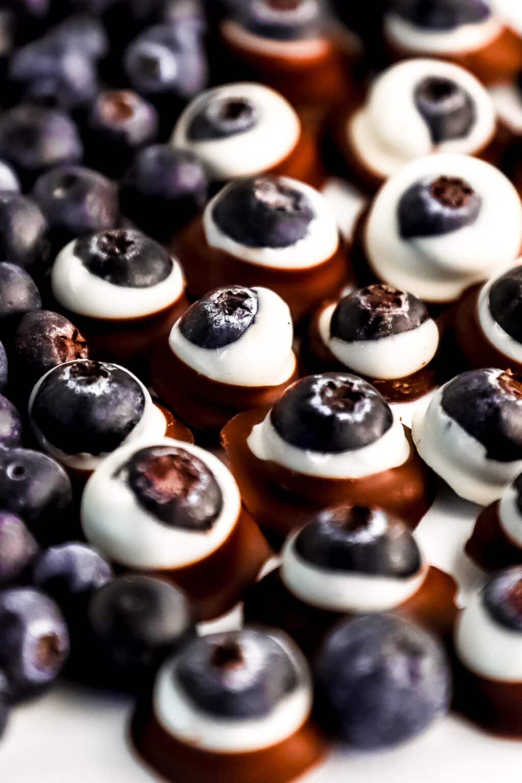 Homemade Tru Fru Blueberries: Chocolate Dipped Treats